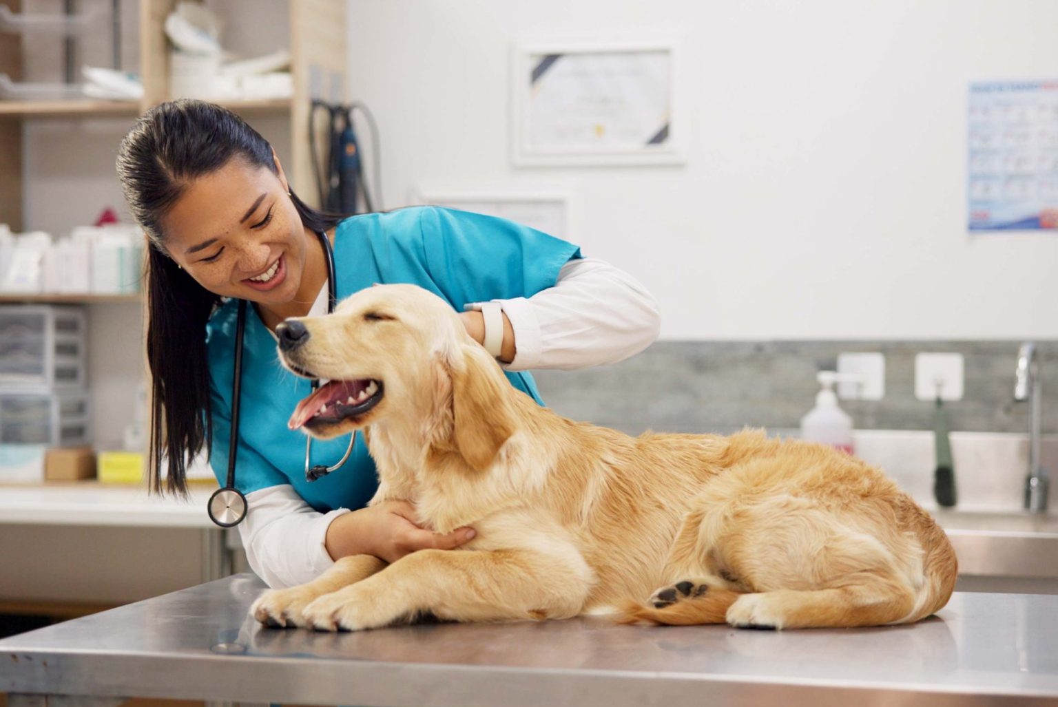 Veterinary News | Latest Animal Health & Veterinary Industry Updates